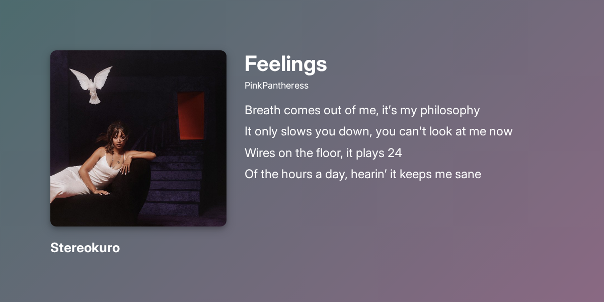 PinkPantheress - Feelings lyric from Heaven knows | Stereokuro