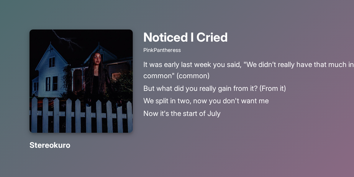 PinkPantheress - Noticed I Cried lyric from to hell with it | Stereokuro